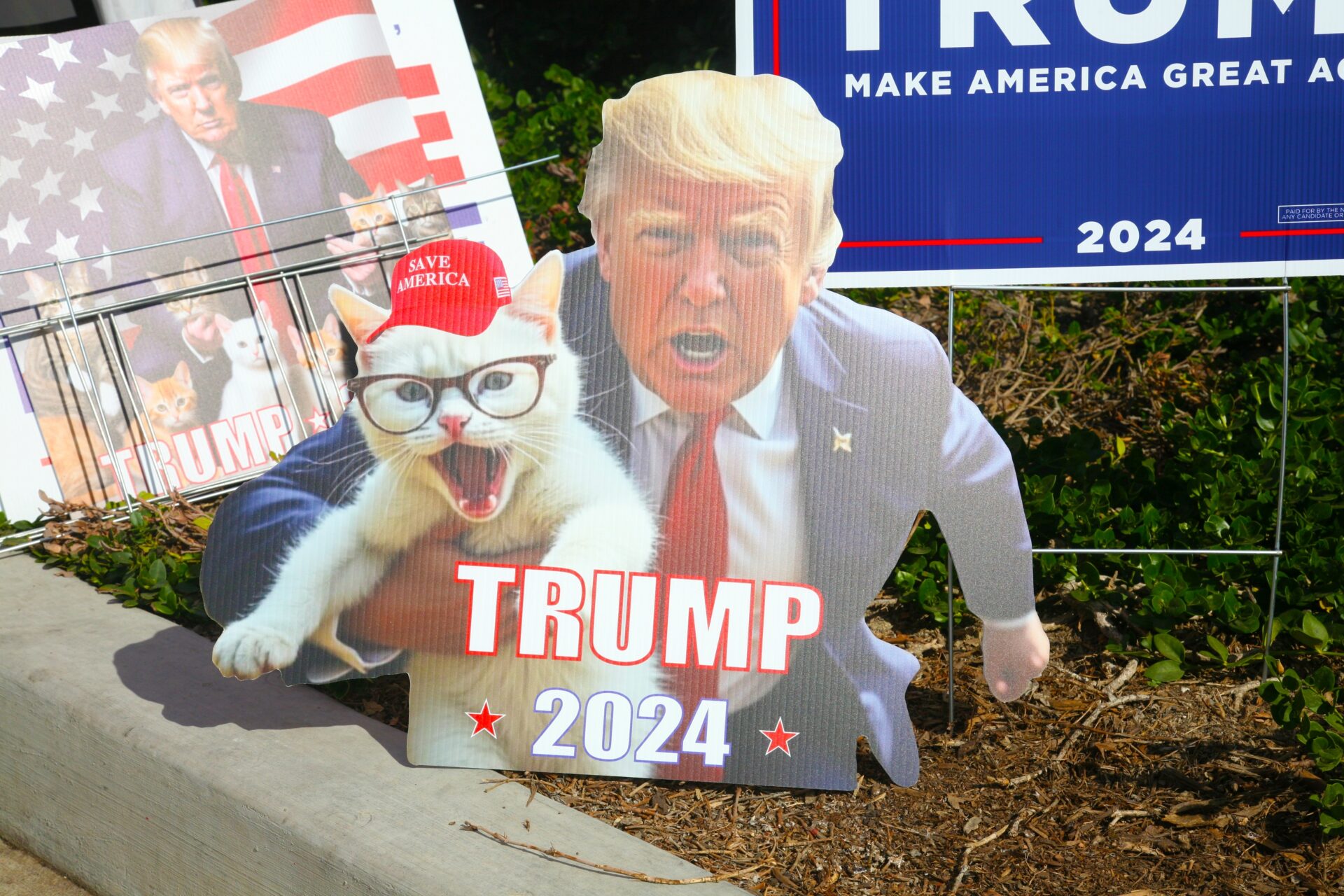 Trump’s EPA Makes History: Animal Testing to Be Phased Out by 2035 ...